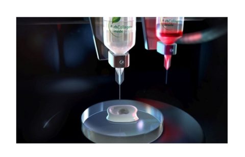 CollPlant Receives Research and Development Project Approval From the ...